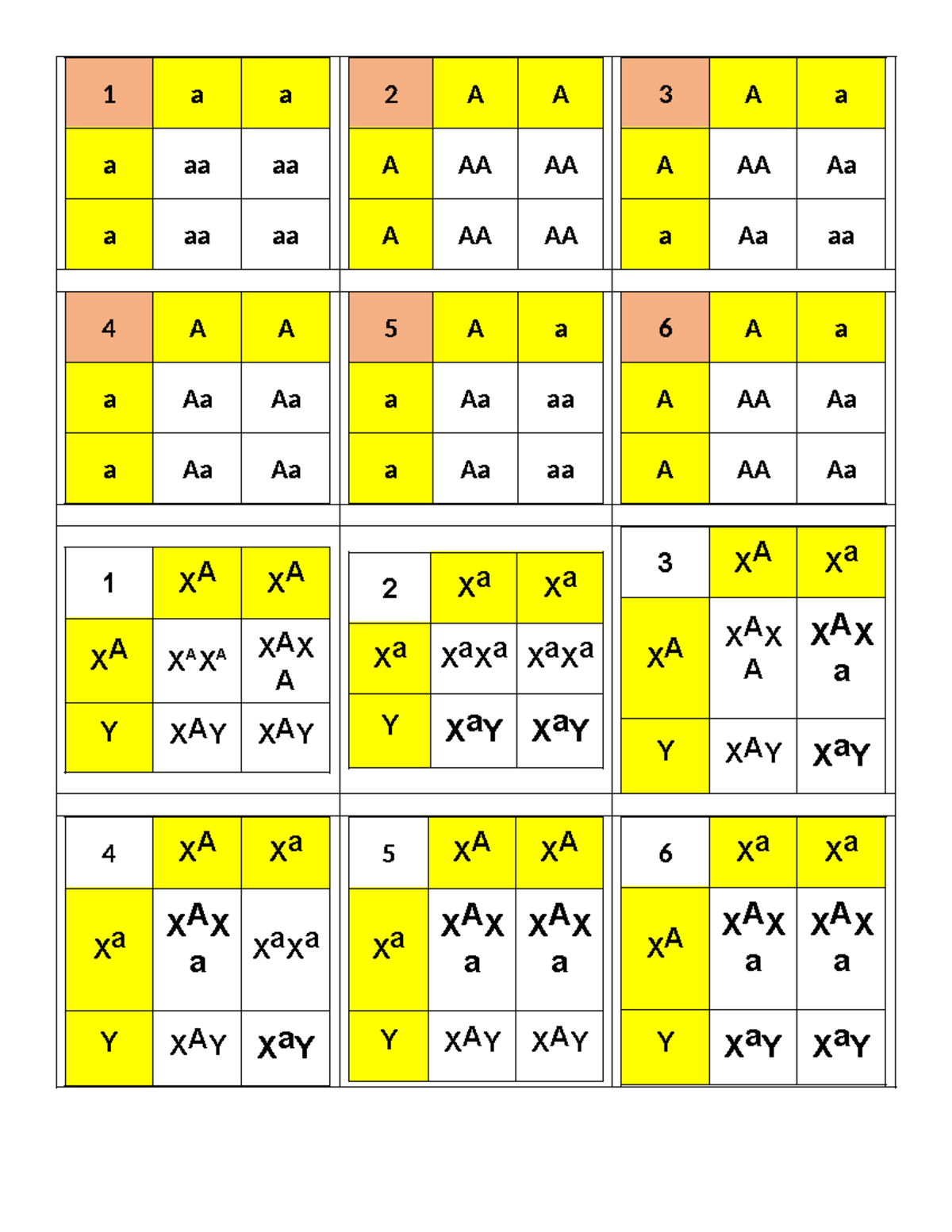 Cuadros de punet realizados 2022-2 - 1 a a a aa aa a aa aa 2 A A A AA ...