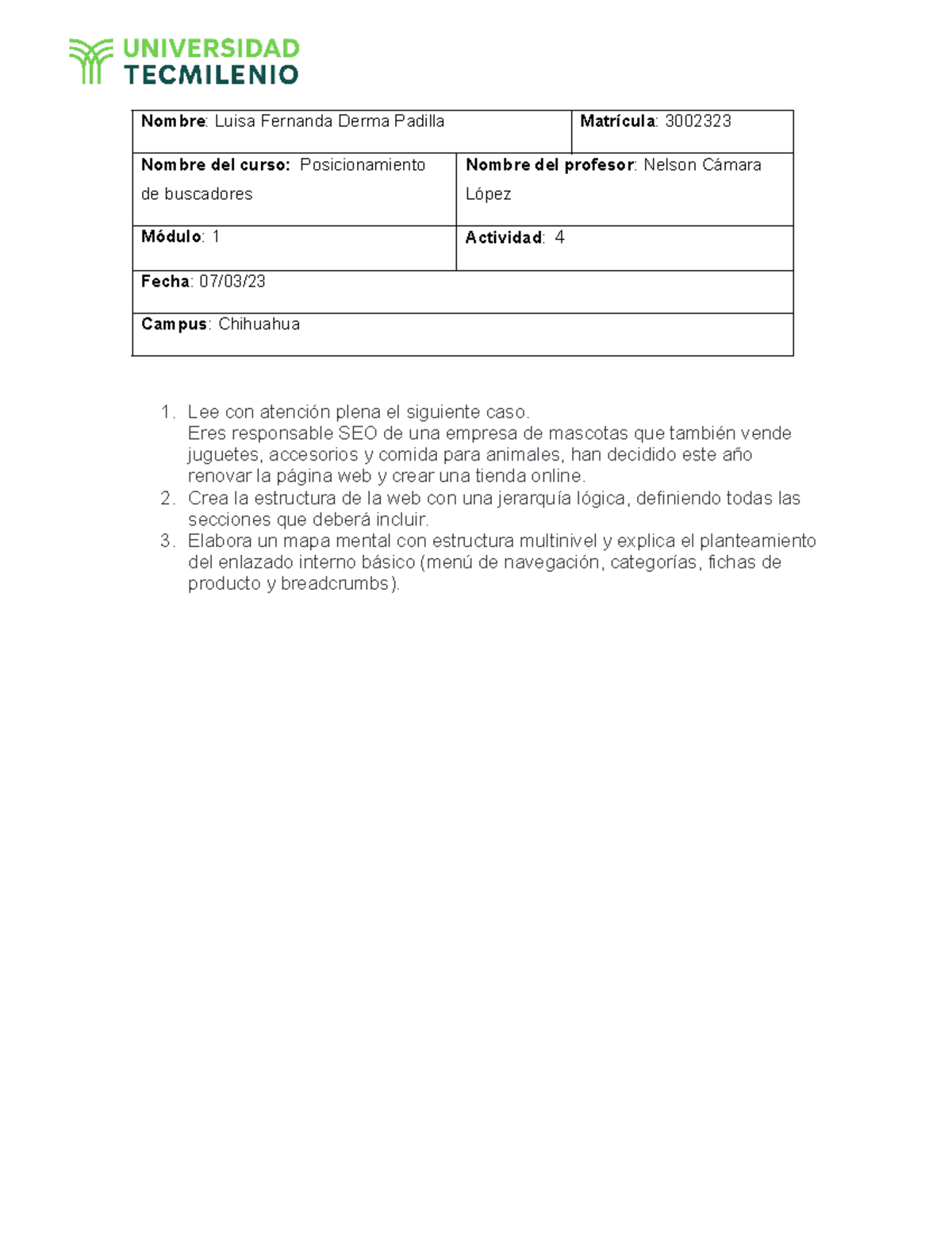 Act. 4 PB - Actividad 4 - Nombre: Luisa Fernanda Derma Padilla ...