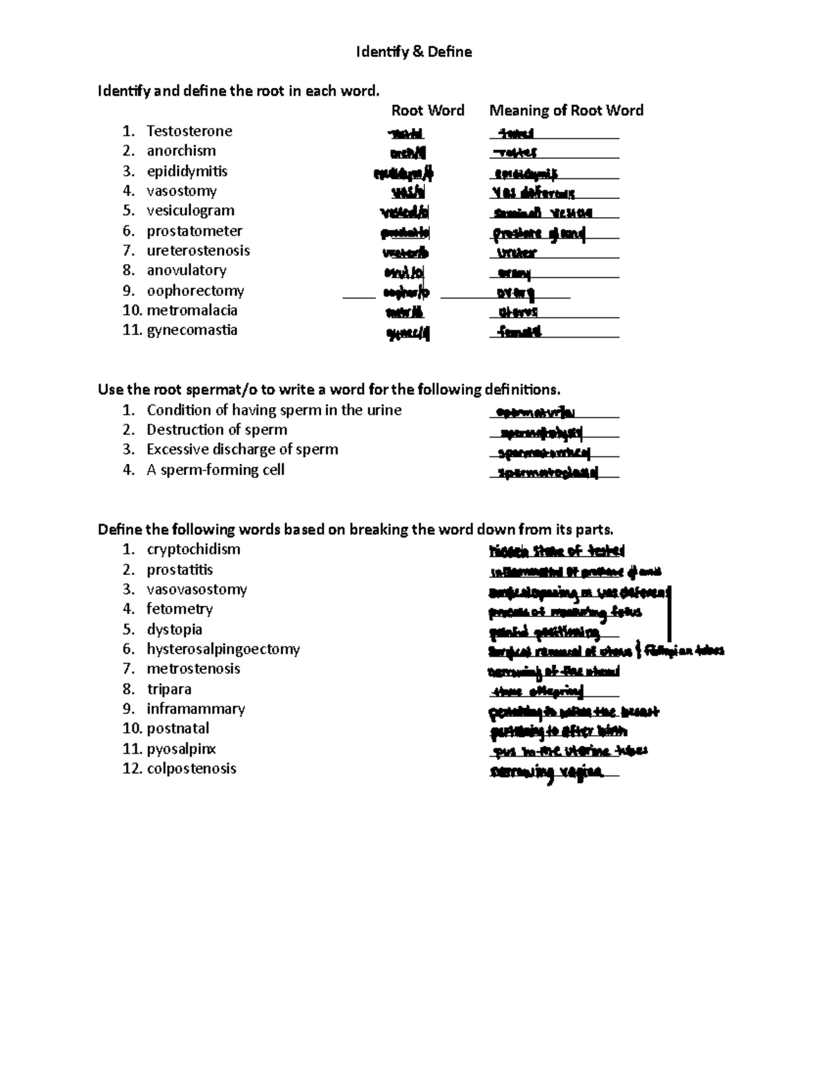 Terminology Worksheet Module 10 Identify Define Identify And Define