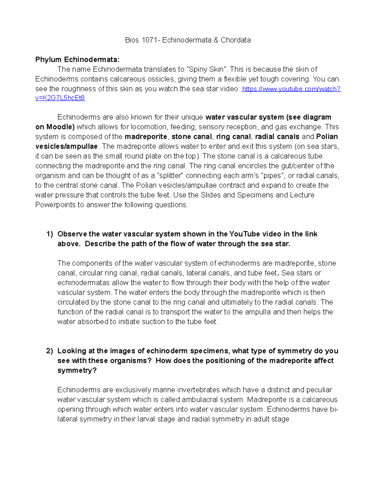Exercise Echinoderms-Chordates Worksheet - Bios 1071- Echinodermata ...