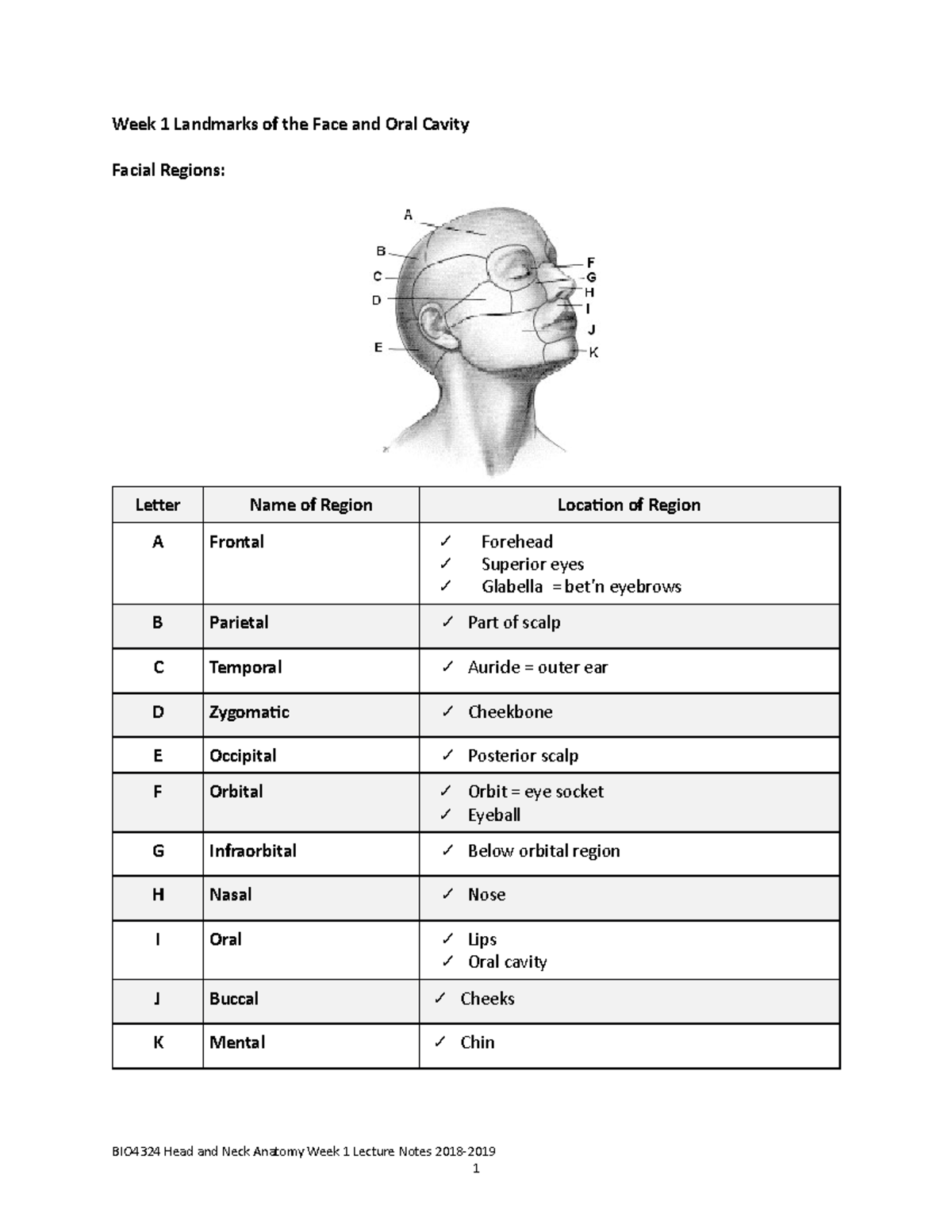 HAN- week 1 - Week 1 Landmarks of the Face and Oral Cavity Facial ...