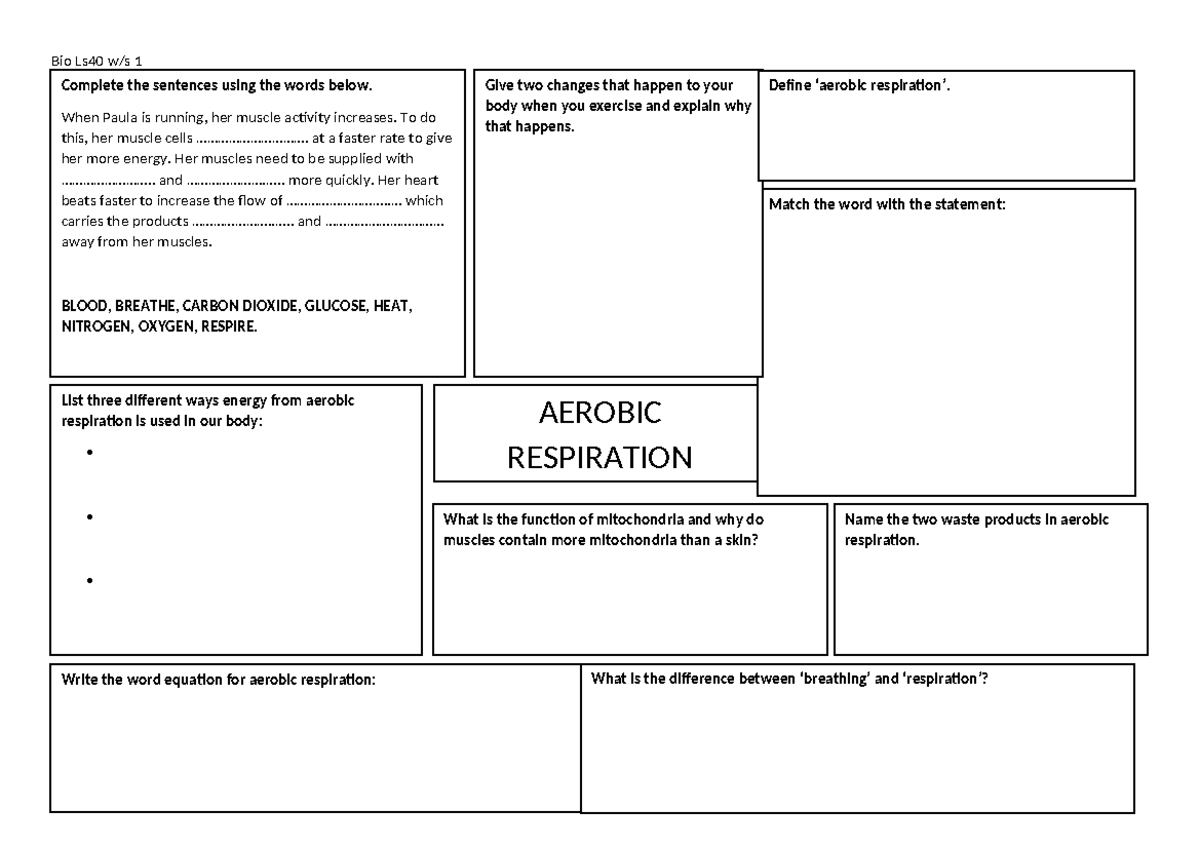 Ws1 Aerobic-Respiration-Worksheet - Bio Ls40 w/s 1 AEROBIC RESPIRATION ...