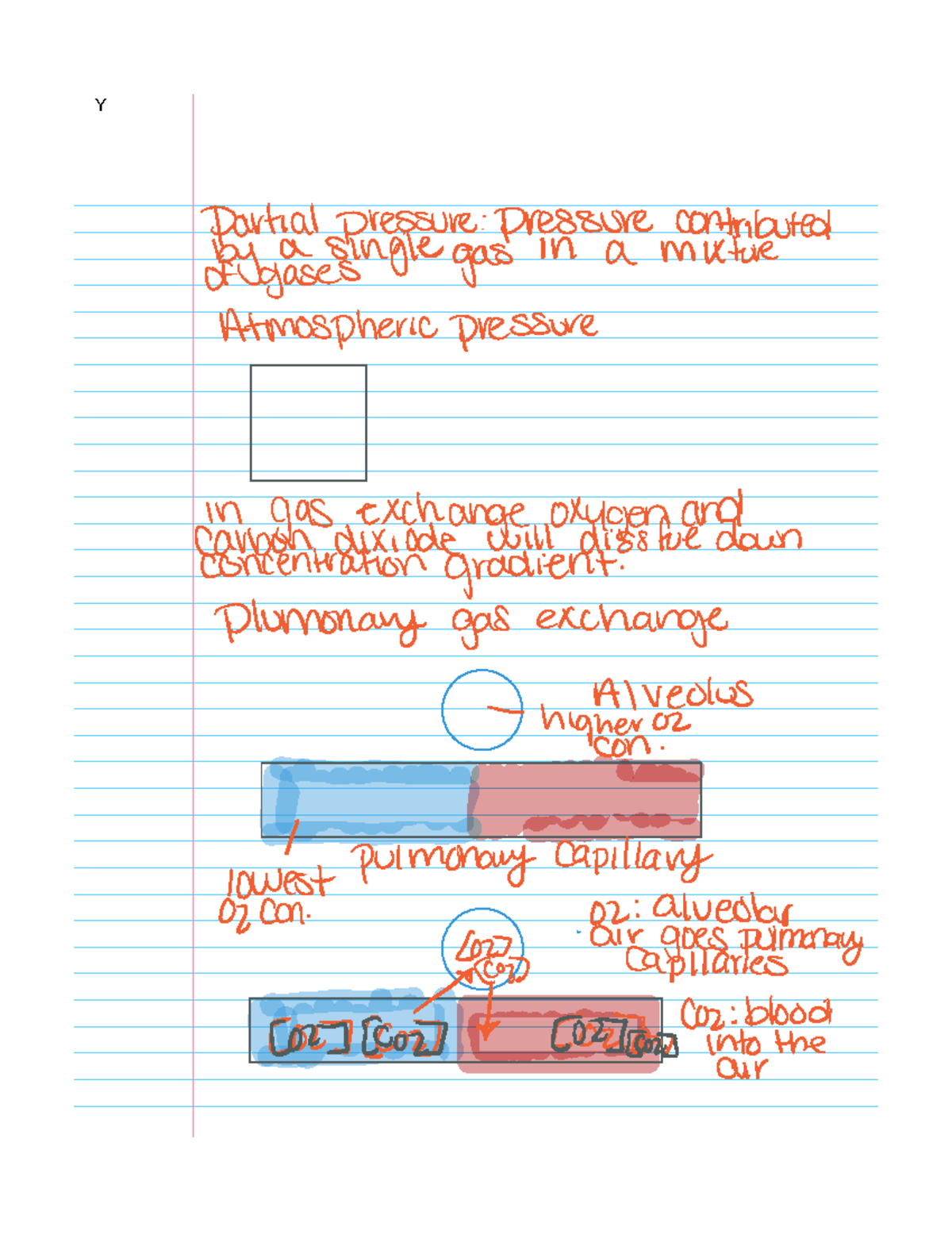 Respiratory System 2 - Y ####### partial pressure pressure contributed ...