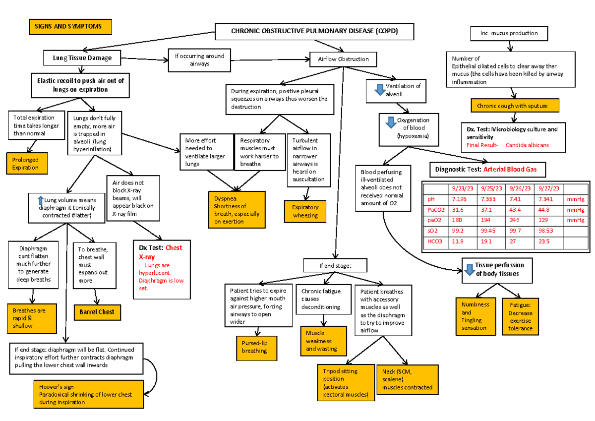 Schematic Diagram of Signs and Symptoms of COPD - CHRONIC OBSTRUCTIVE ...