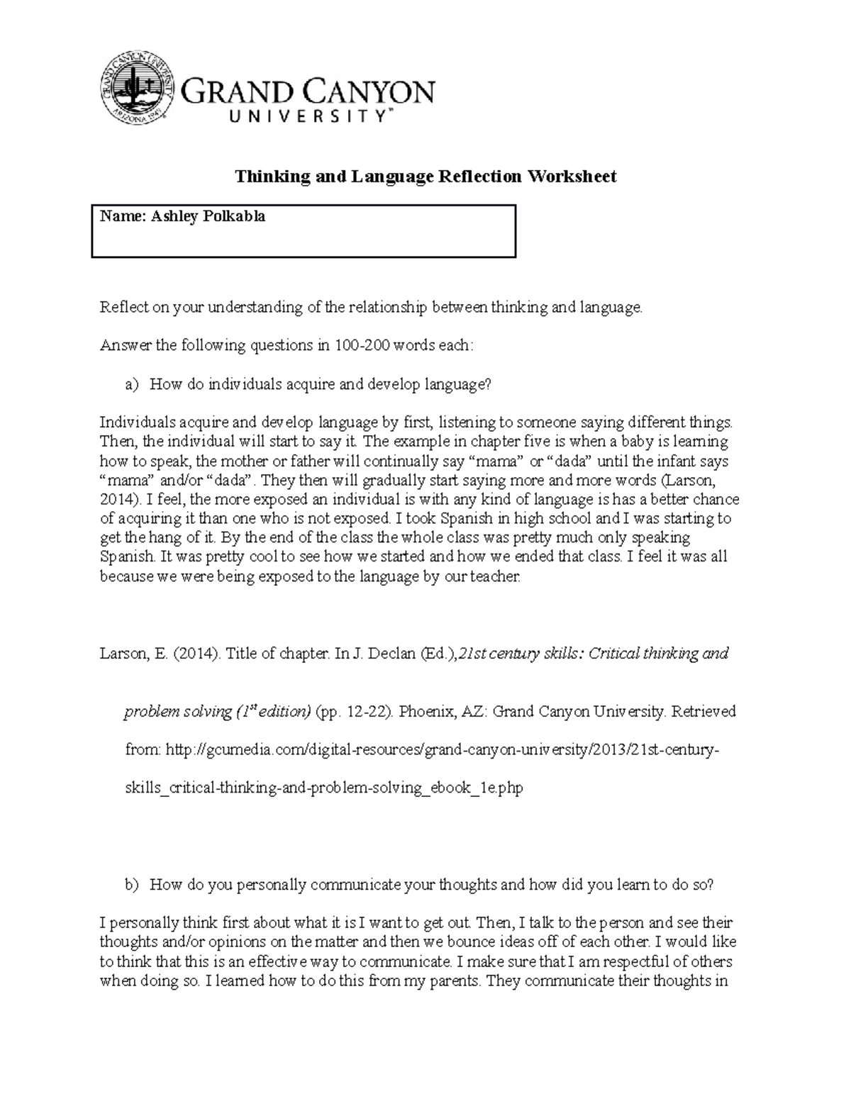 Thinking and Language Worksheet - Thinking and Language Reflection ...