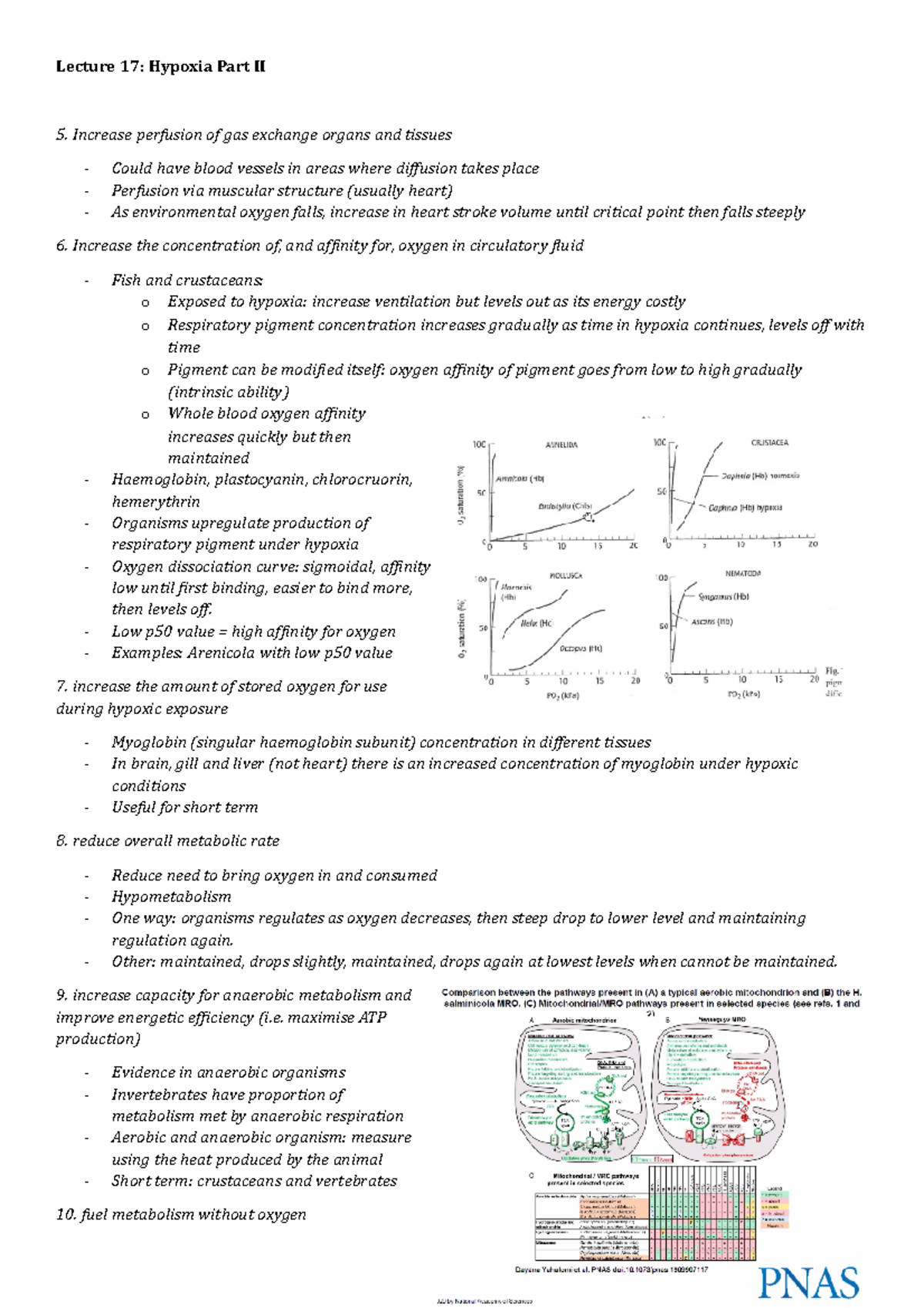 Lecture 17 Hypoxia Part II - Low p50 value = high affinity for oxygen ...