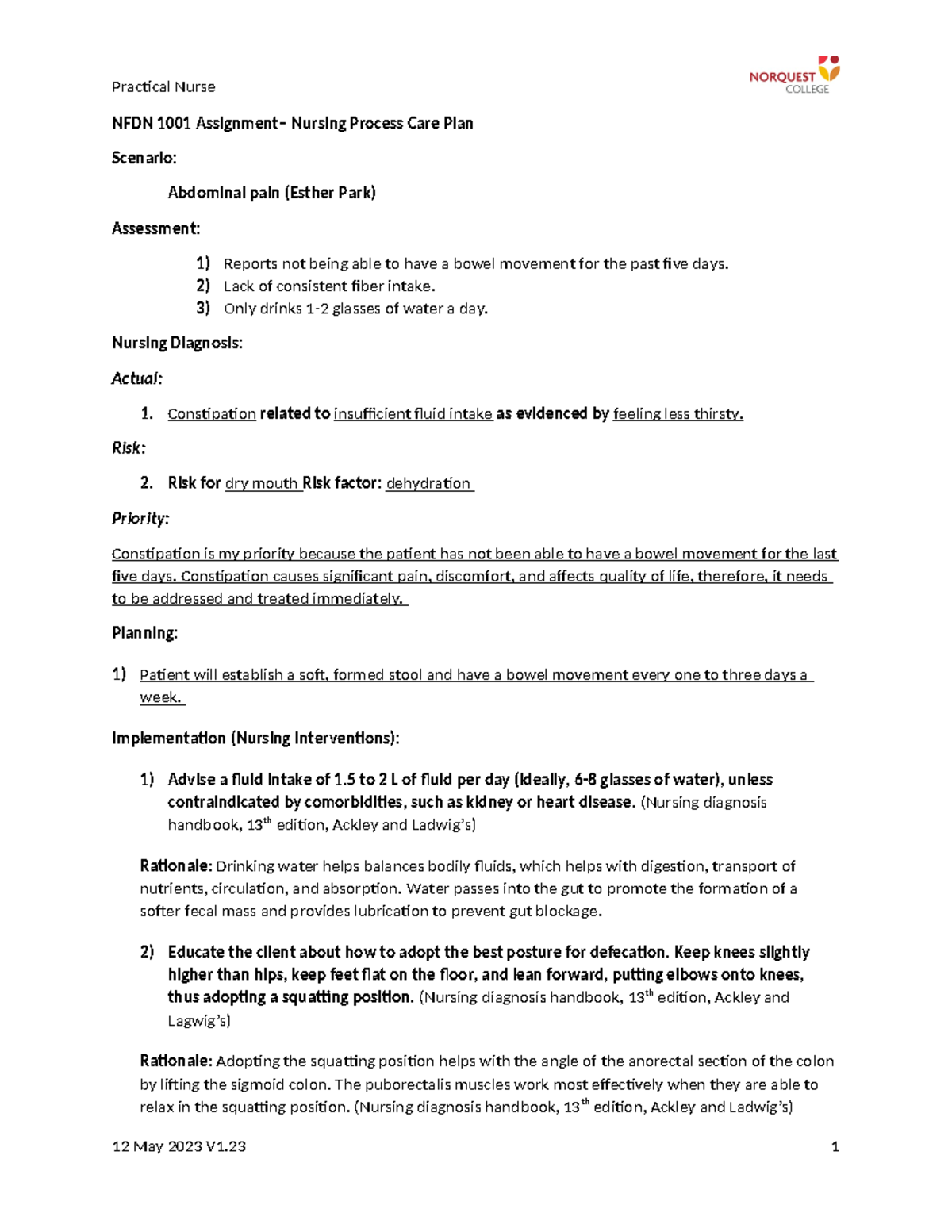 NFDN 1001 - Nursing Process Care Plan - Practical Nurse NFDN 1001 ...