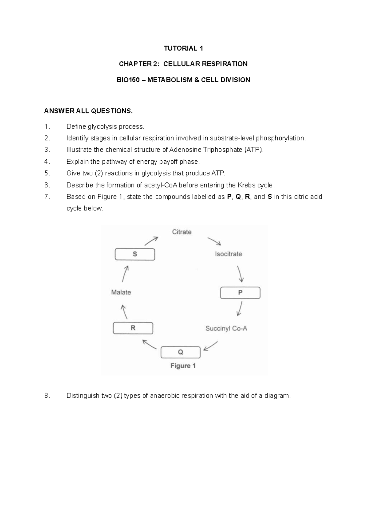 Chapter 2 Tutorial 1 (1) - TUTORIAL 1 CHAPTER 2 : CELLULAR RESPIRATION BIO150 – METABOLISM ...