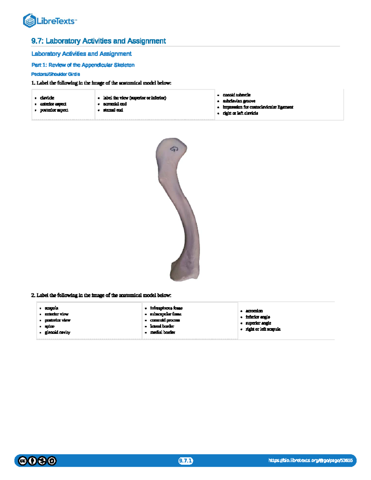 Lab 8-Appendicular Skeleton - LibreTexts TM 9: Laboratory Activities and Assignment Laboratory ...