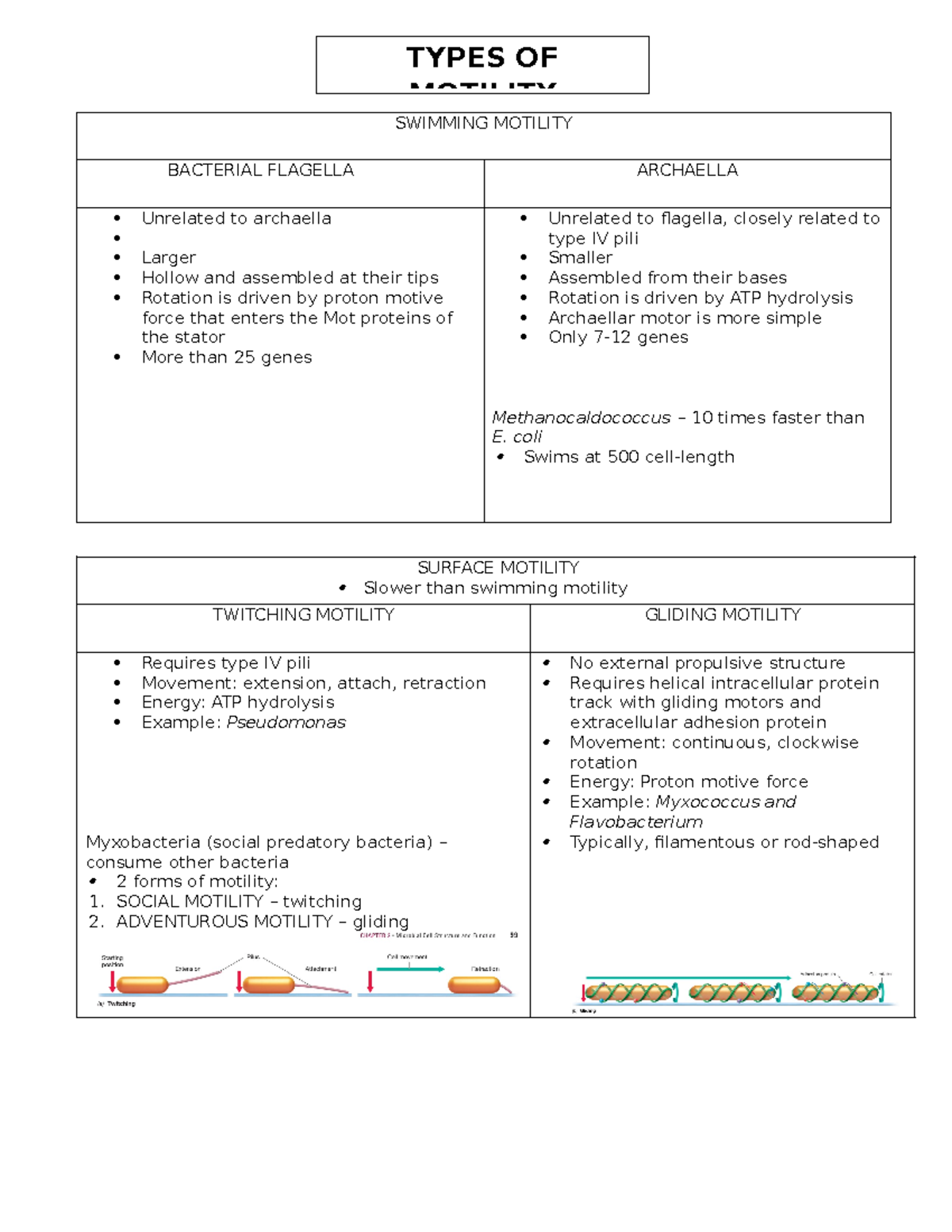 Rmicro notes - Different types of motility in bacteria - SWIMMING ...