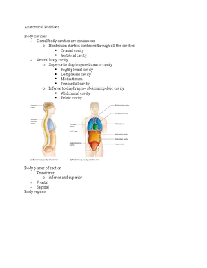 Anatomy lab exam 2 Notes - Integumentary System: Covers body, consists ...