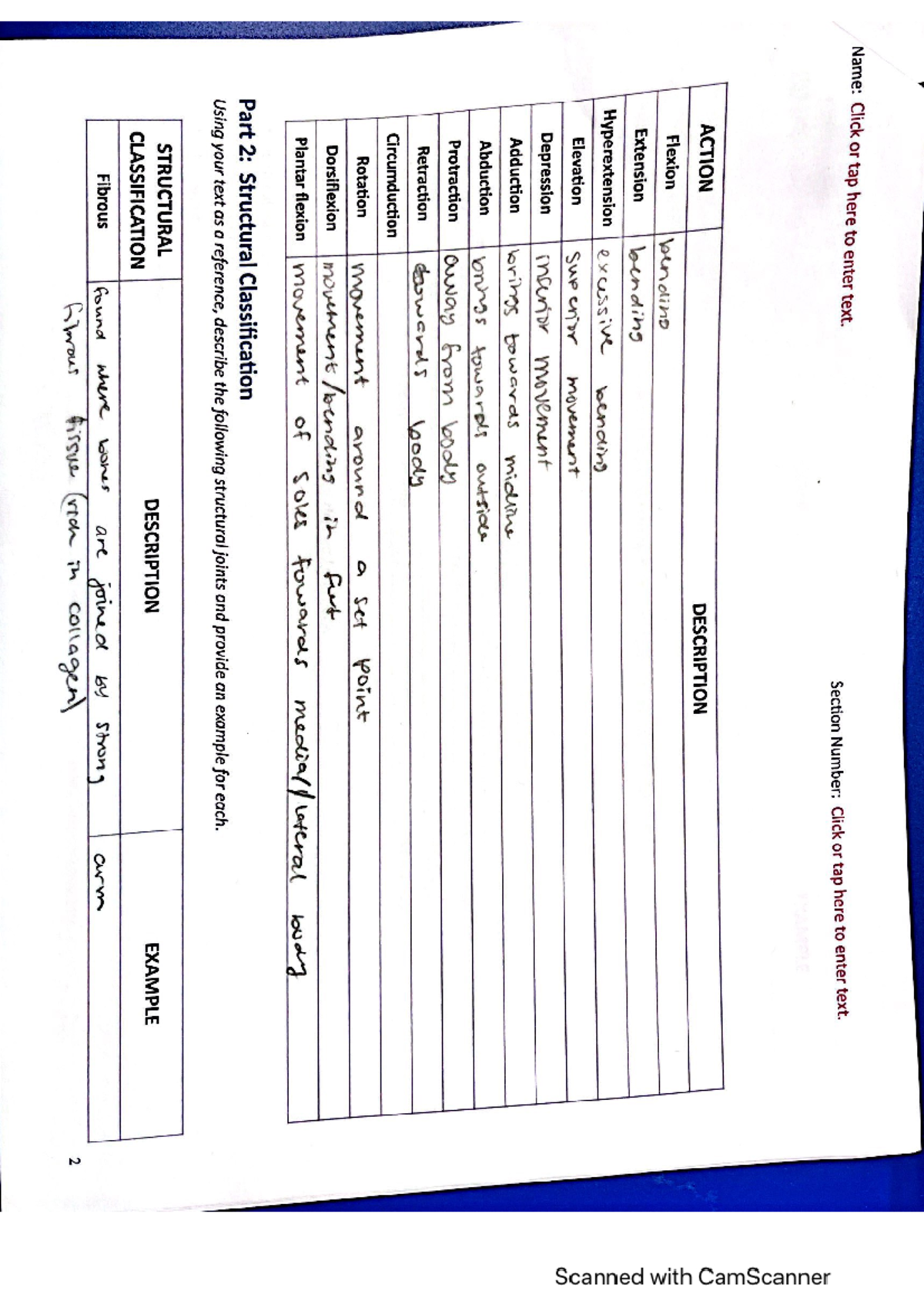Pre Lab 4 - Helps with BMS 202 Lab assignments - BMS 202 - Studocu