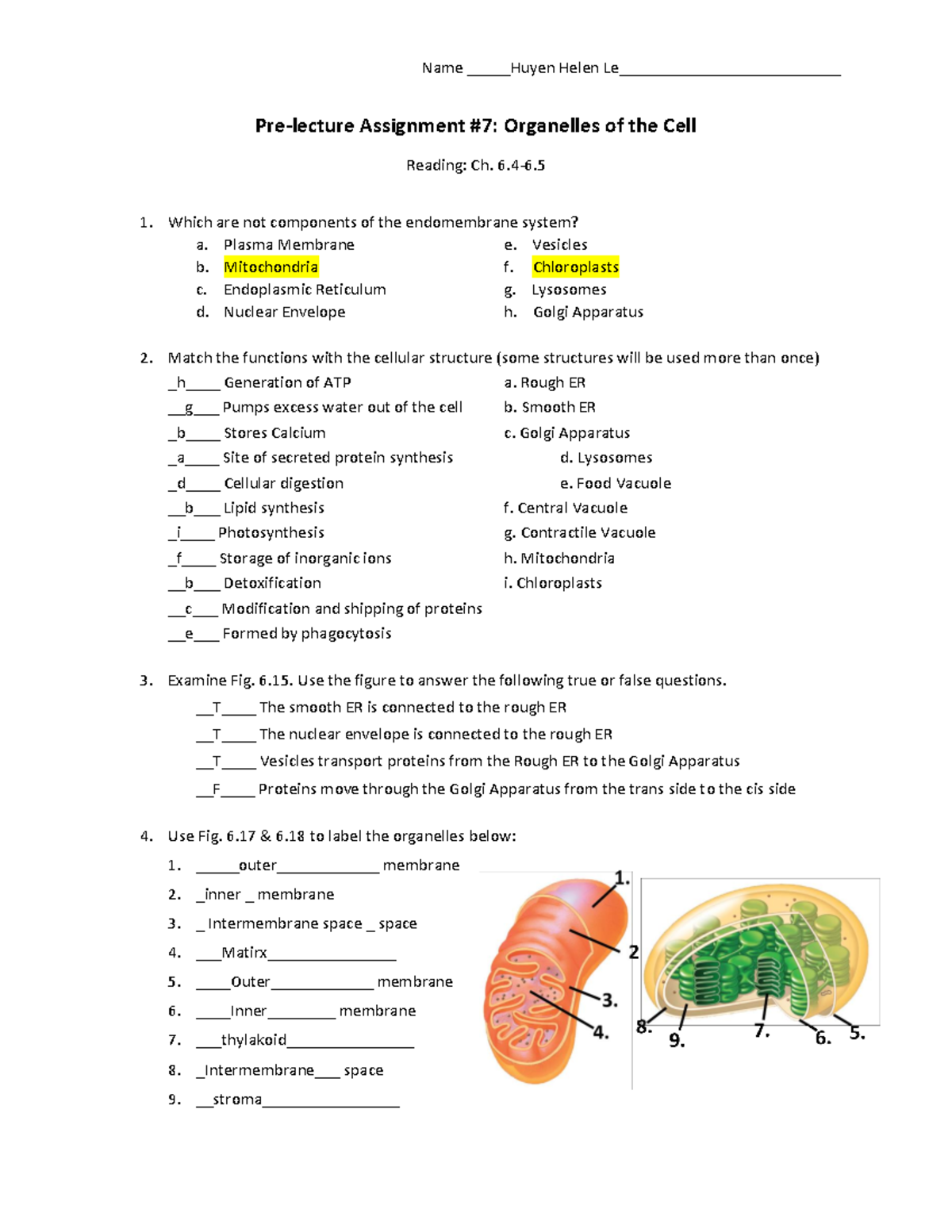 Prelecture Assignment 7 Ch. 6 - Name Huyen Helen Le_____________________ Pre-lecture Assignment ...