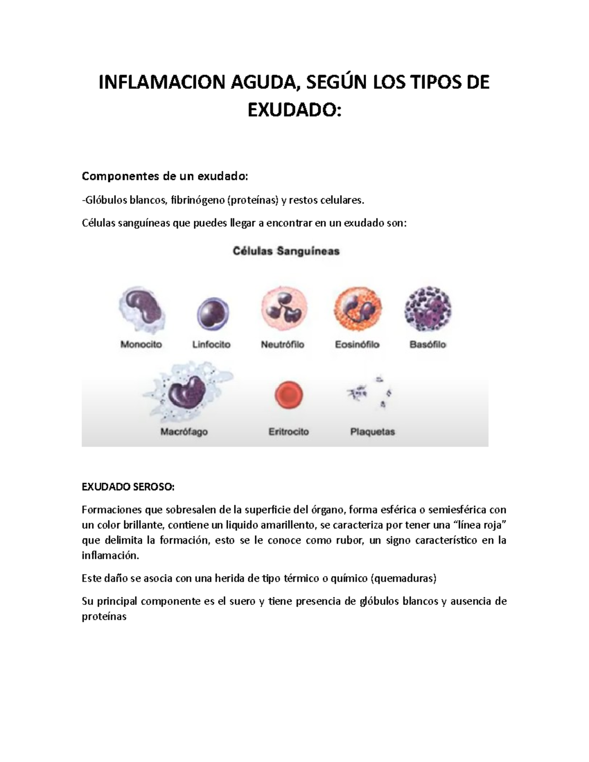 Inflamacion segun exudado - INFLAMACION AGUDA, SEGÚN LOS TIPOS DE ...