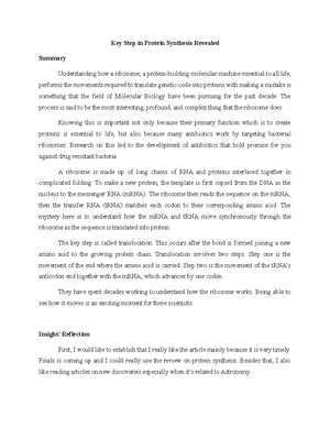 Problem-solving-and-cooking-printable v2 - Cooking With Fractions Word ...