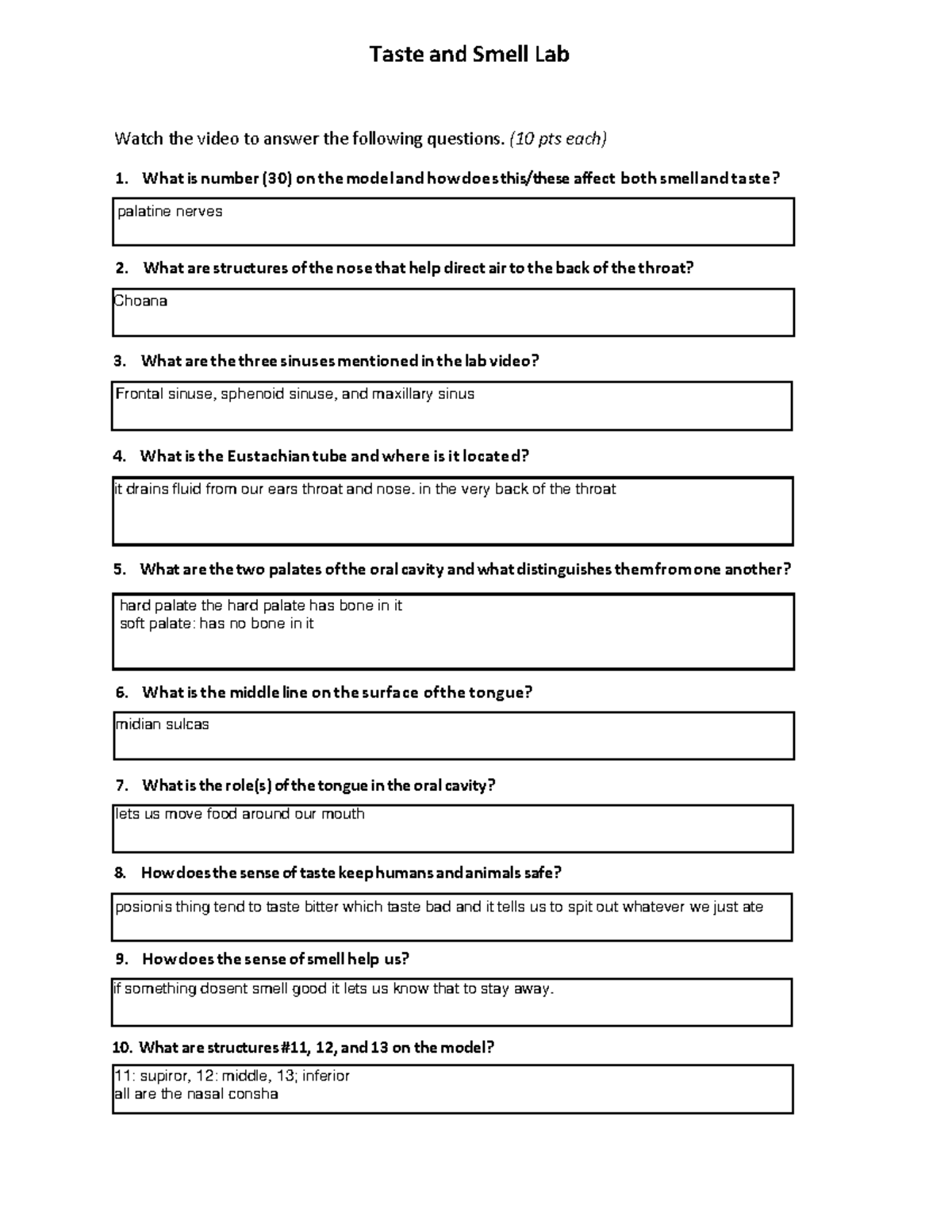Taste+and+Smell+Lab Student - Taste and Smell Lab What is number ( 30 ...