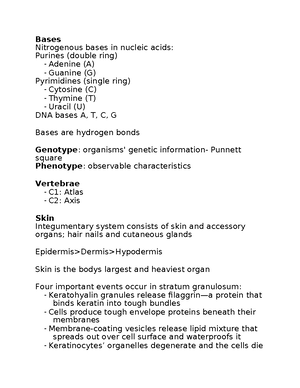 Anatomy Practical 2 - lecture note - ANATOMY PRACTICAL 2 1. MUSCLE ...