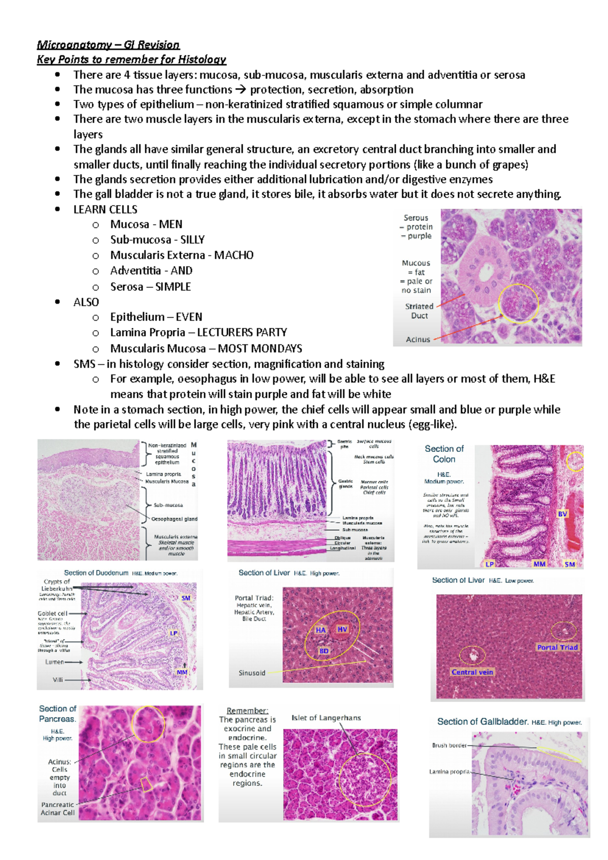 Microanatomy – GI Revision - Microanatomy – GI Revision Key Points to ...