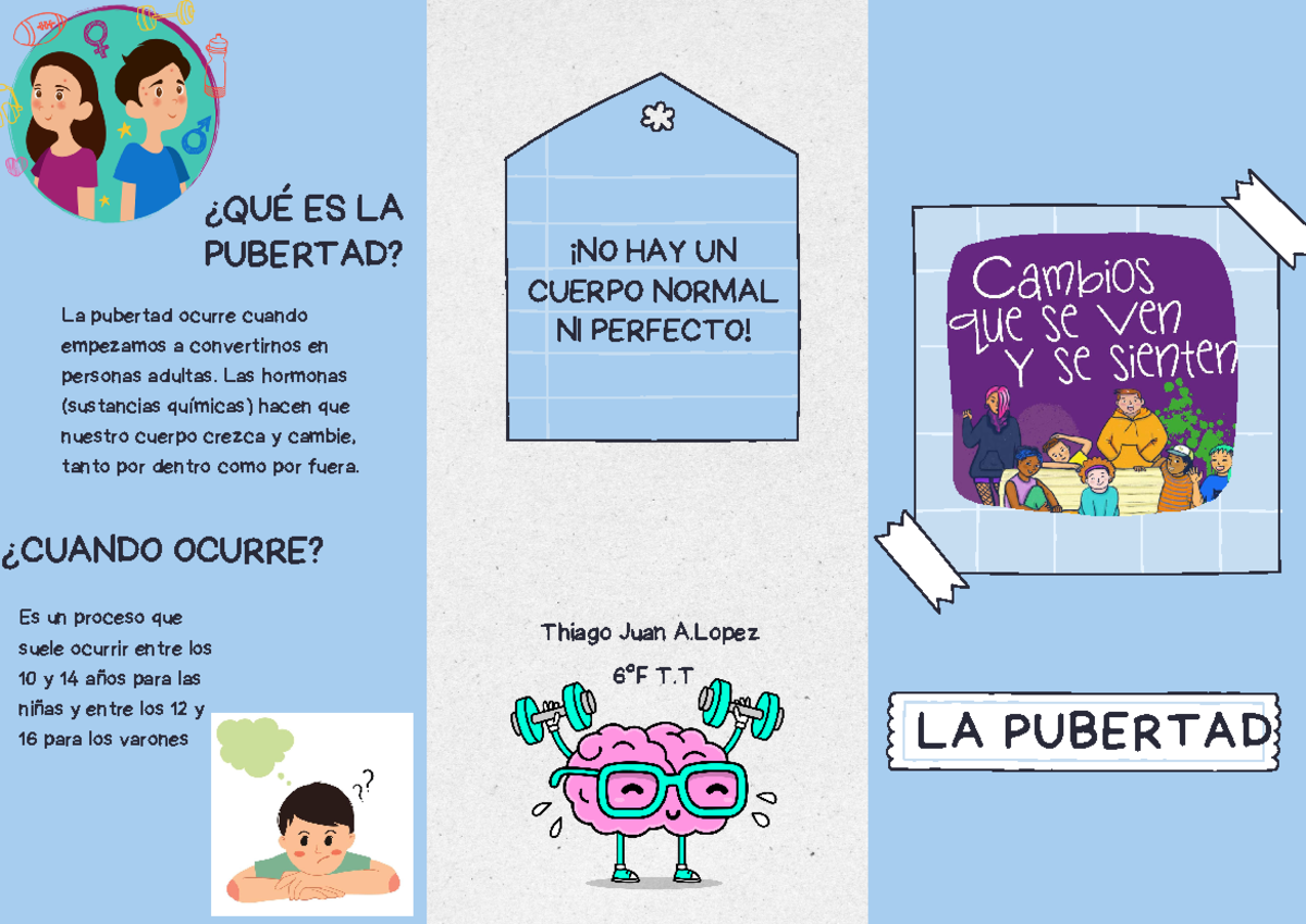 Folleto La pubertad - Ciencias Sociales - LA PUBERTAD ¿QUÉ ES LA ...