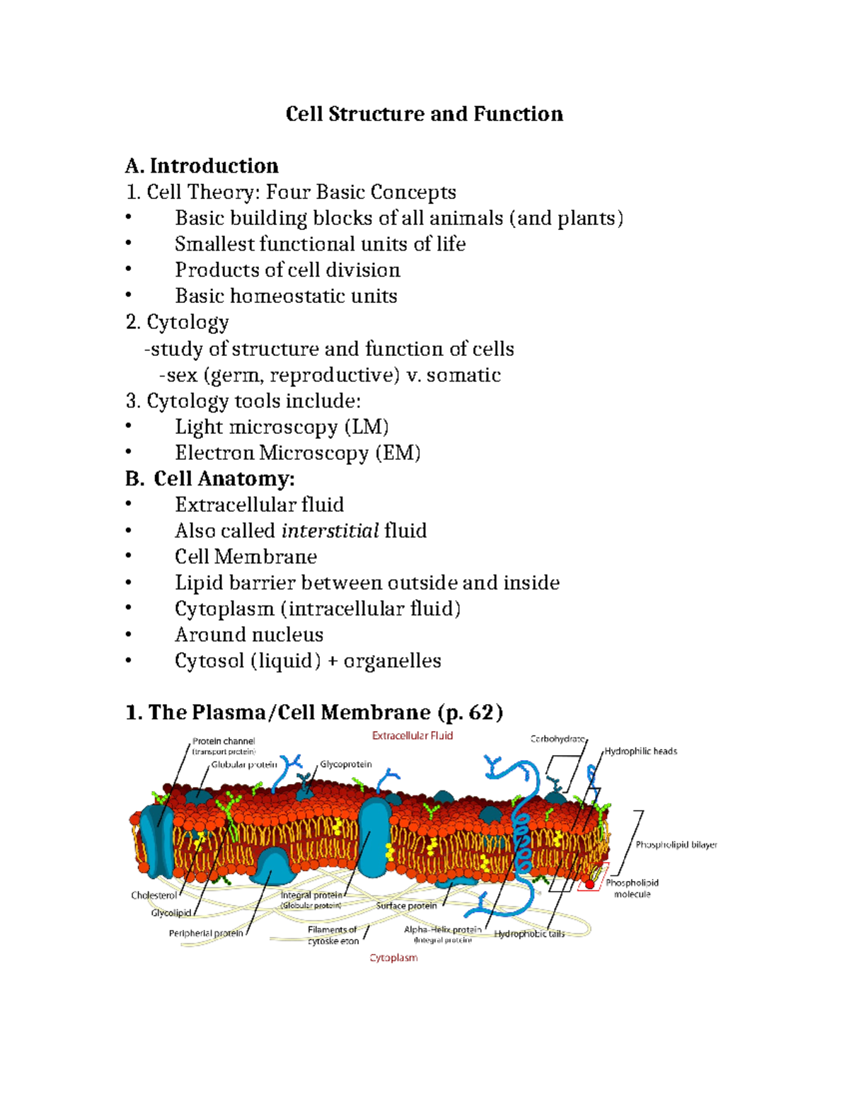 AHS 131 Ch. 3 The Cellular Level of Organization - Cell Structure and ...