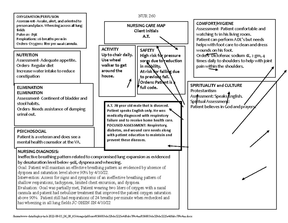NUR 260 Nursing Care Map for hospice blank - Awake, alert, and oriented ...