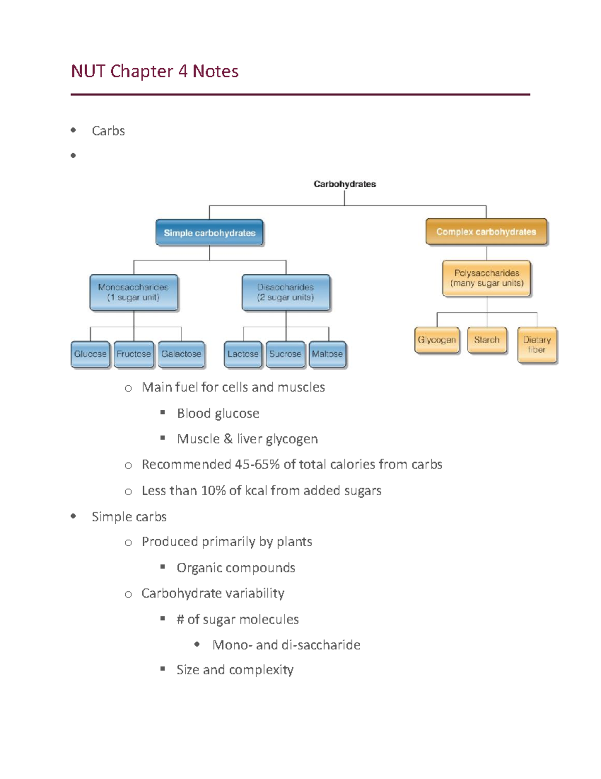 NUT Chapter 4 Notes - NUT - NUT Chapter 4 Notes Carbs o Main fuel for ...