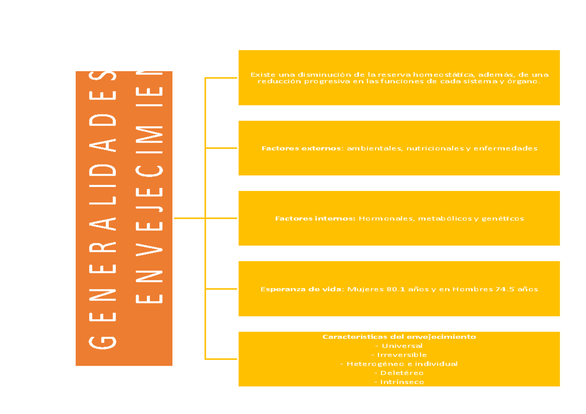Mapas conceptuales - Temas Geriatría - G E N E R A L I D A D E S S O B E N V E J E C I M I E N T ...