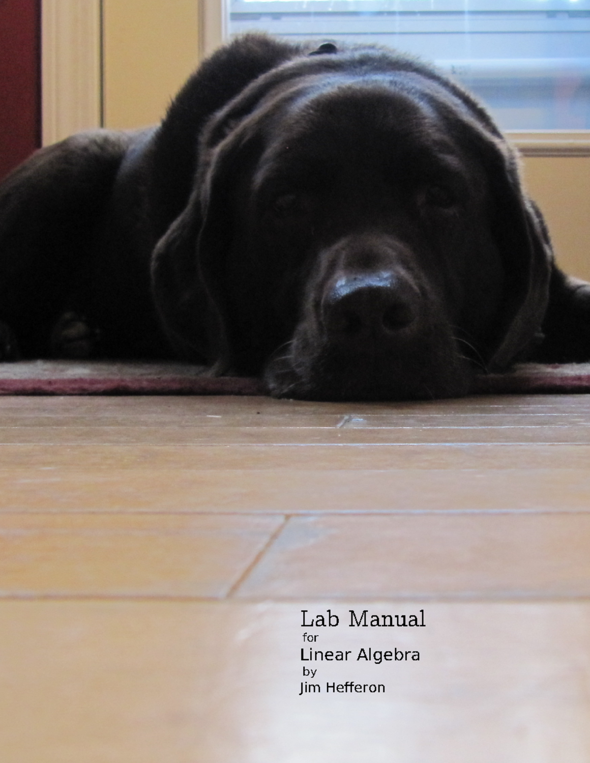 Practical - Lab manual for linear algebra by jim hefferon - Lab Manual ...