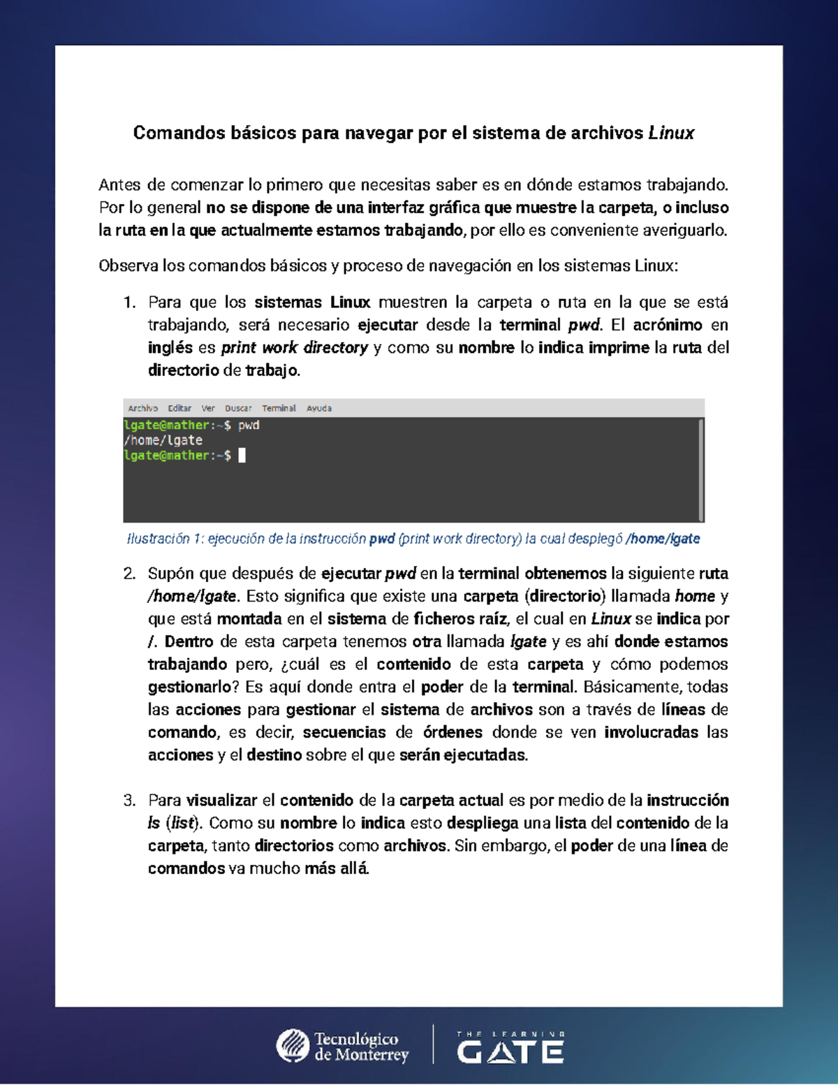 04a Comandos básicos para navegar por el sistema de archivos Linux ...