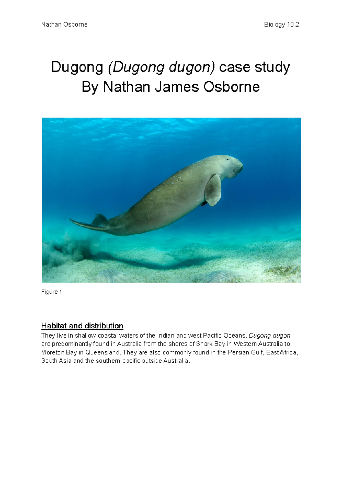 Nathan Osborne - Biology Case Study Assessment - Dugong (Dugong dugon) case study By Nathan ...