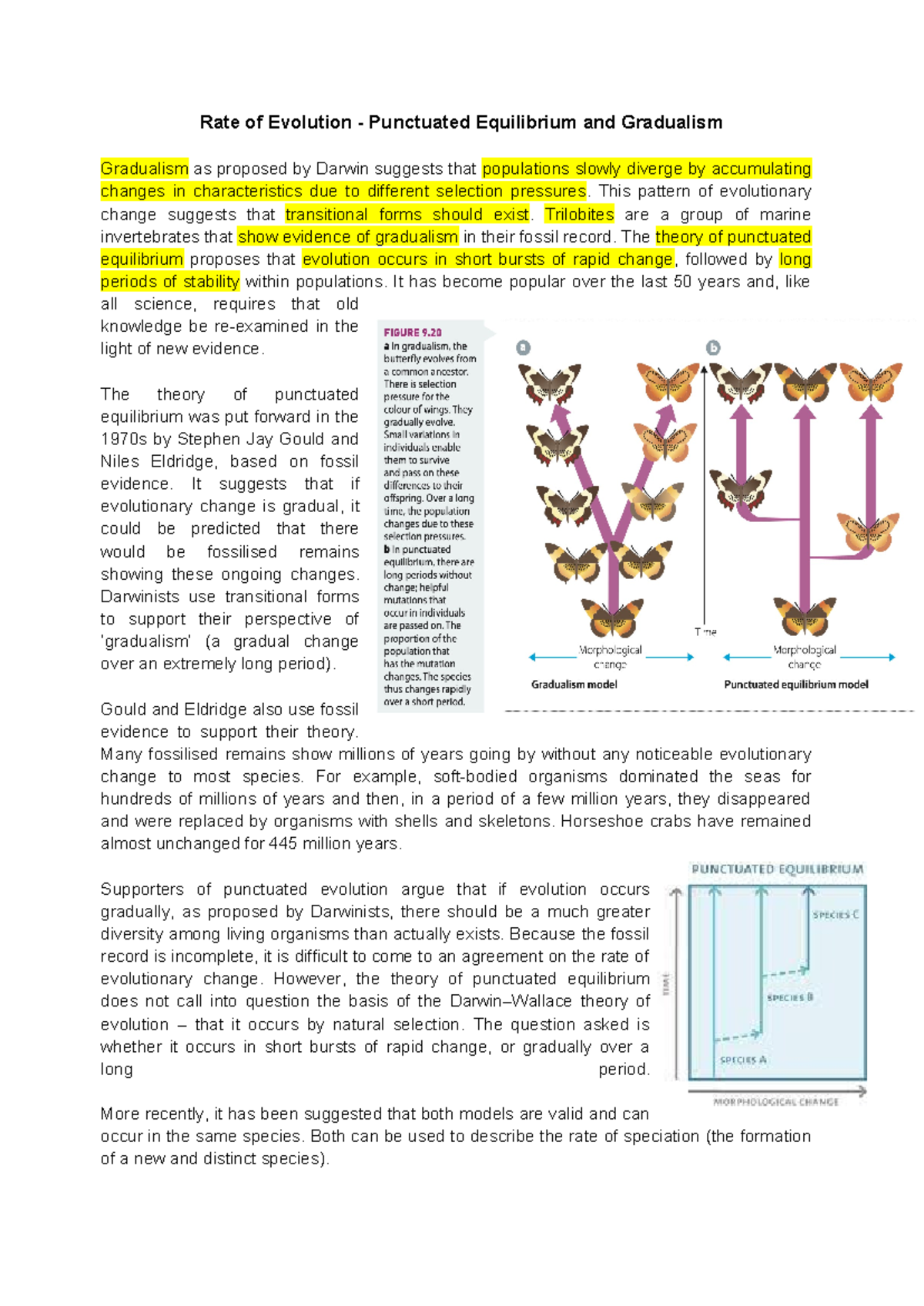 Punctuated Equilibrium and Gradualism - Rate of Evolution - Punctuated ...