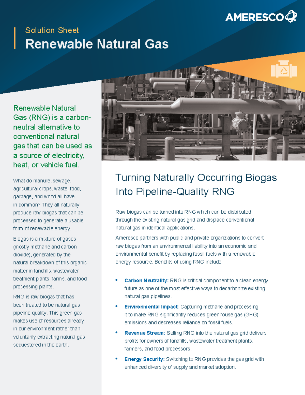 Renewable natural gas solution sheet - Renewable Natural Gas Renewable ...
