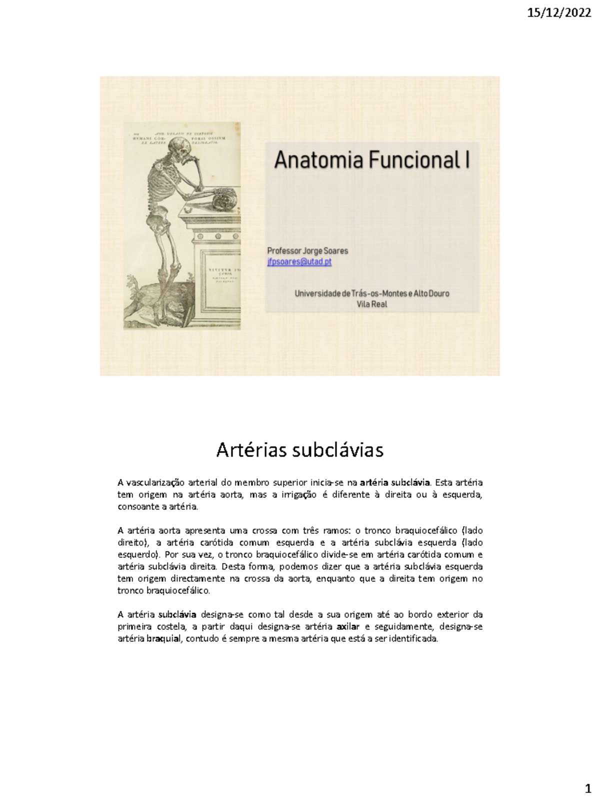 vascularizacao dos membros superiores - Artérias do membro superior ...