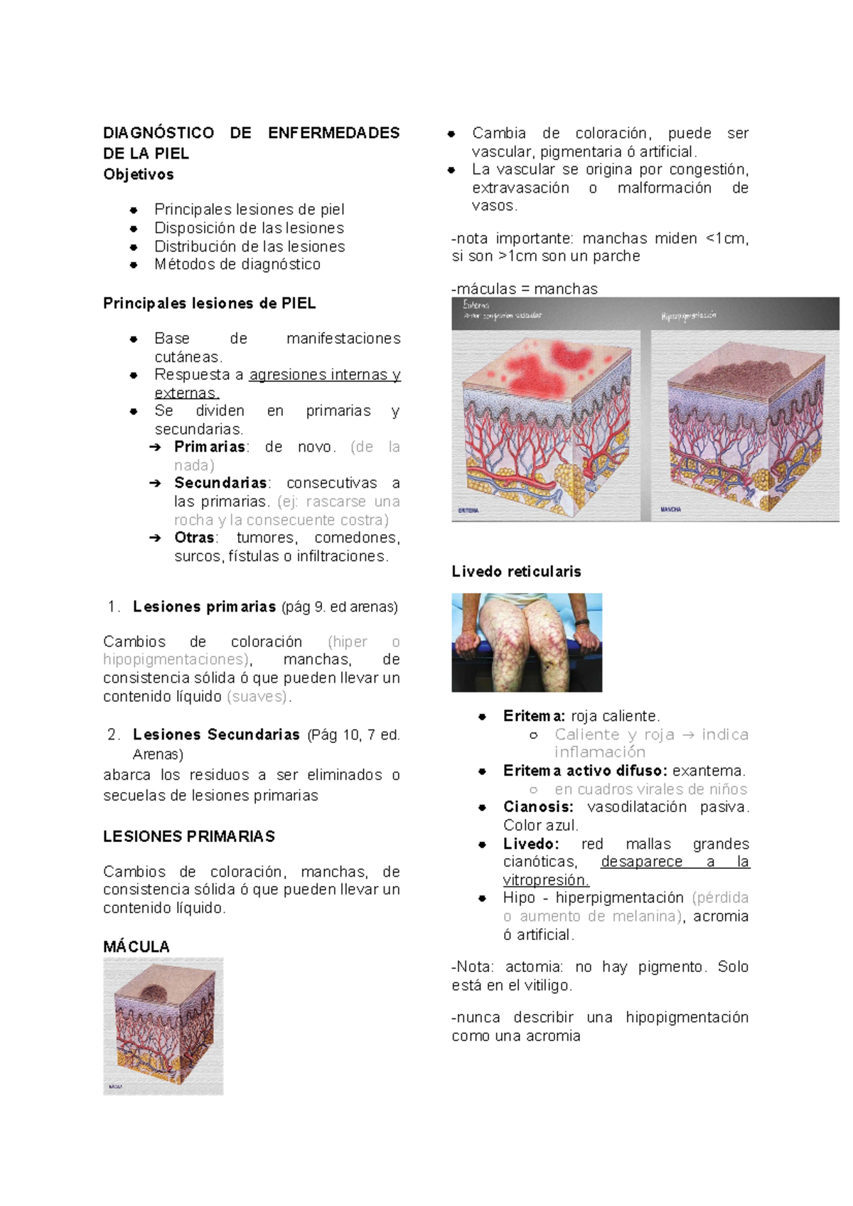 Derma - DIAGNÓSTICO DE ENFERMEDADES DE LA PIEL Objetivos Principales ...