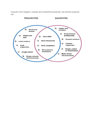 Punnett Squares Key - Hope that this is helpful. - BS in Civil ...