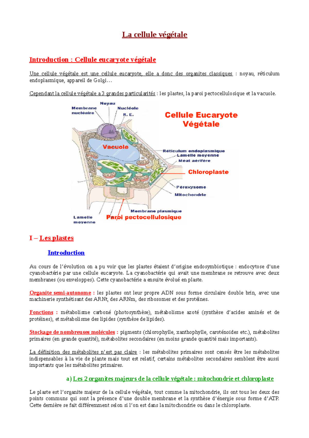 Plastes, Vacuole, Paroi et Voies transport - La cellule végétale ...