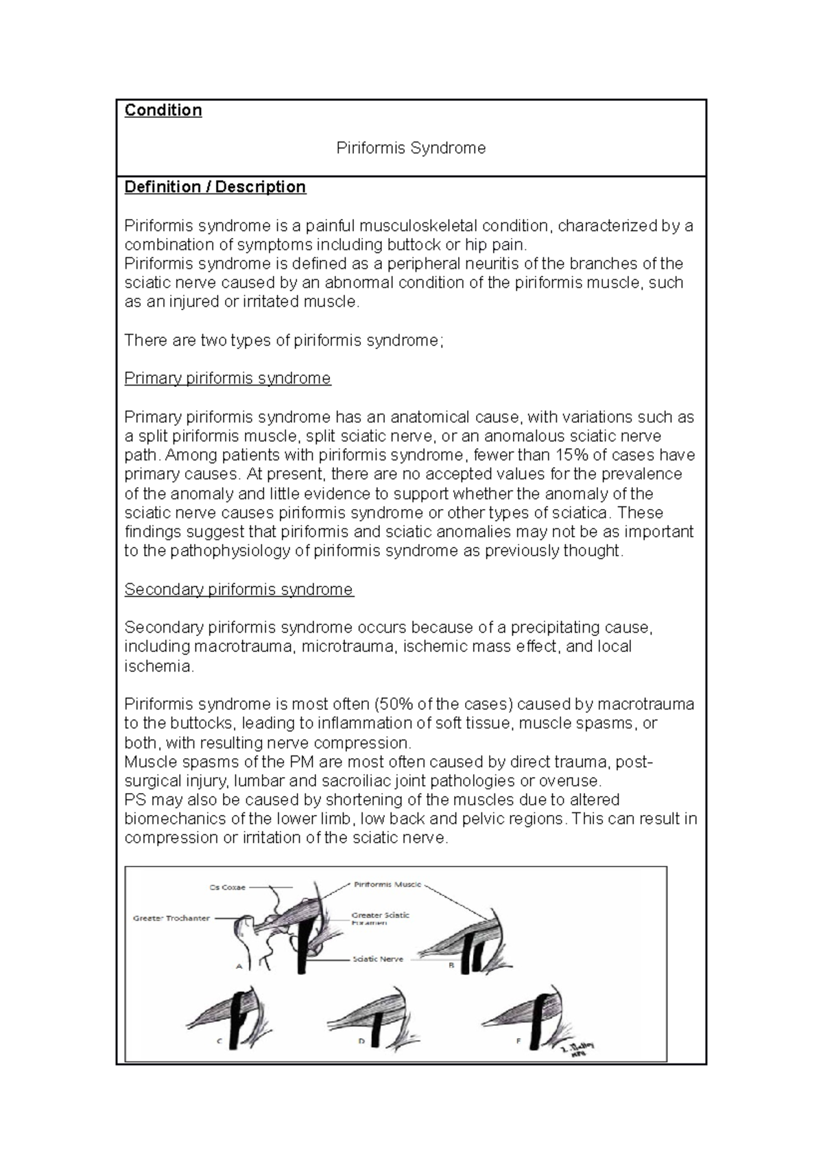 Piriformis Syndrome - clinical pattern sheet - Condition Piriformis ...