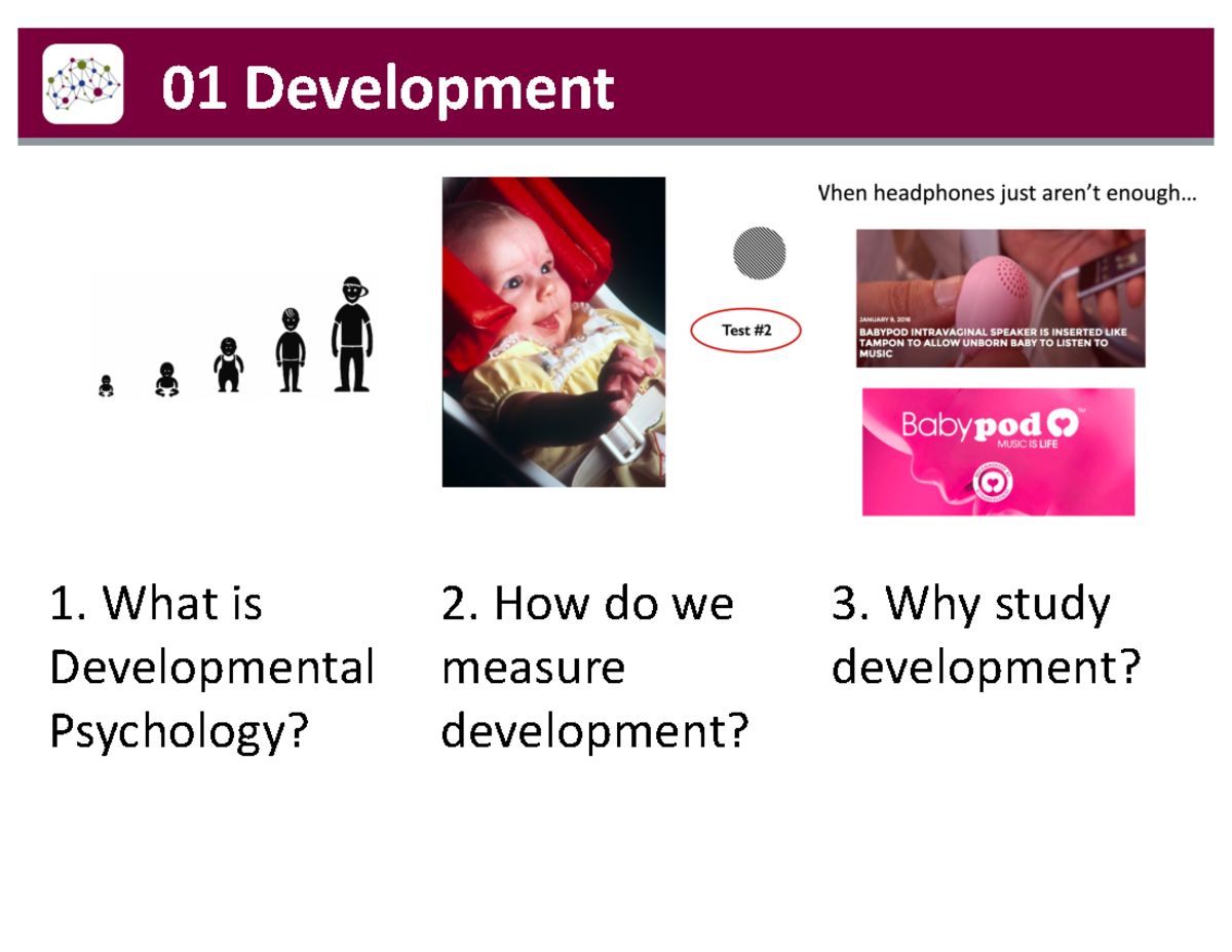 01-Development 1 - Lecture 1 - 01 Development 1. What is Developmental ...