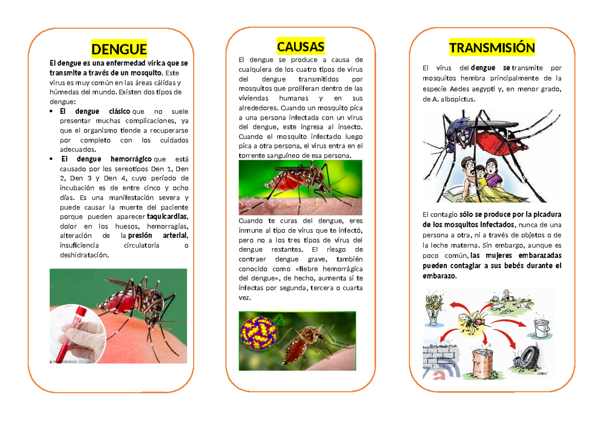 Triptico-Dengue - Dengue , consecuencia y prevención - DENGUE El dengue ...
