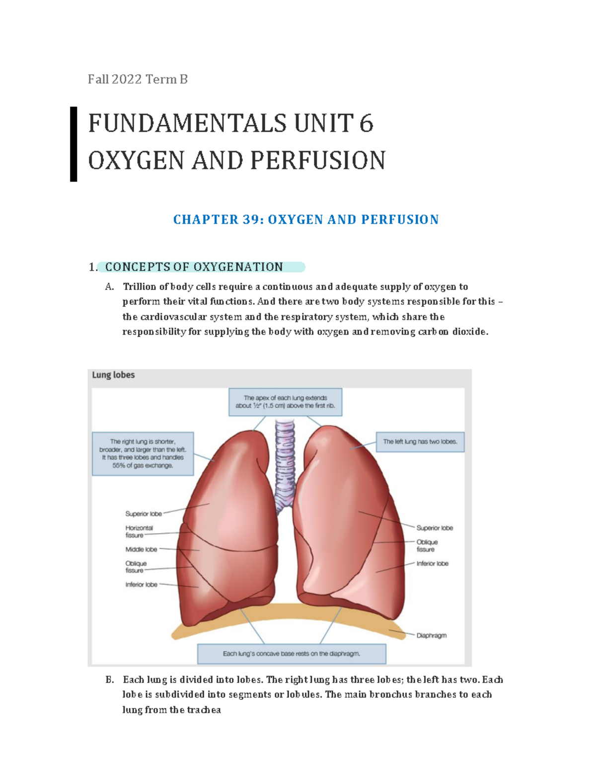Oxygenation And Perfusion outline - Fall 2022 Term B FUNDAMENTALS UNIT 6 OXYGEN AND PERFUSION ...
