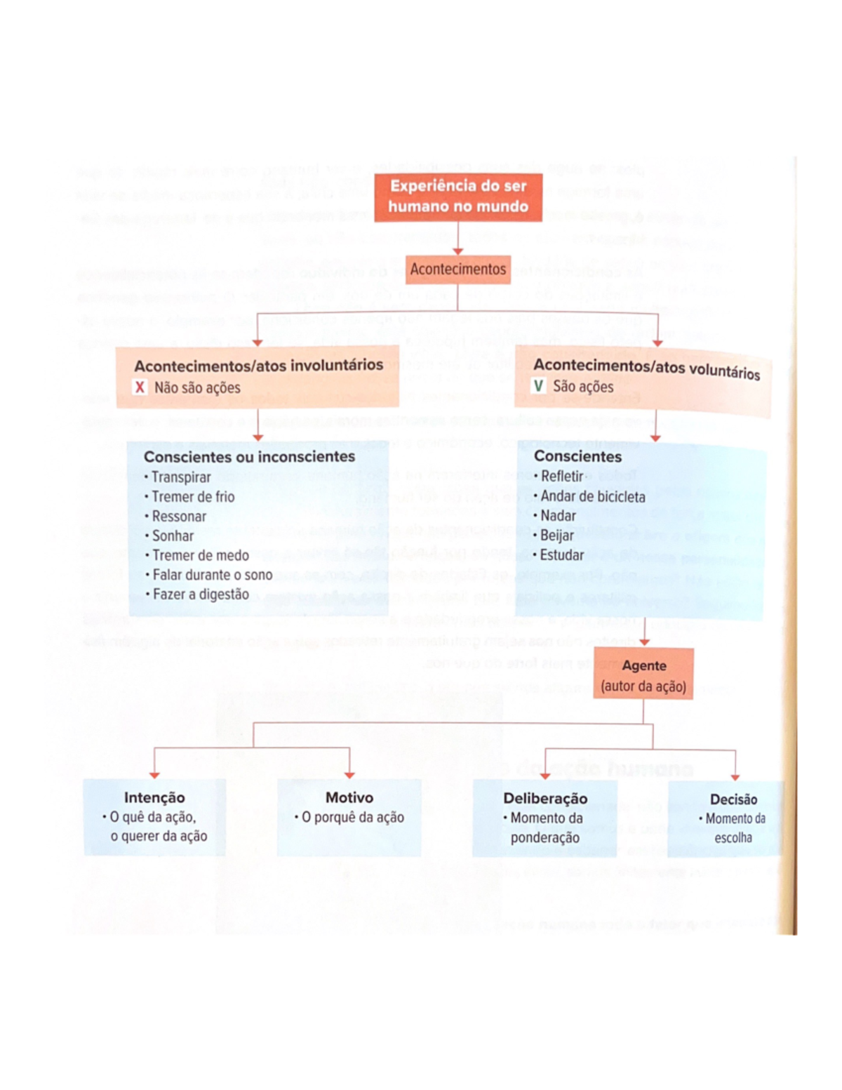 Esquema-síntese problema livre arbítrio - Filosofia - Studocu