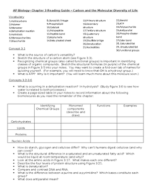 Photosynthesis Biointeractive Animations Student Worksheet ...