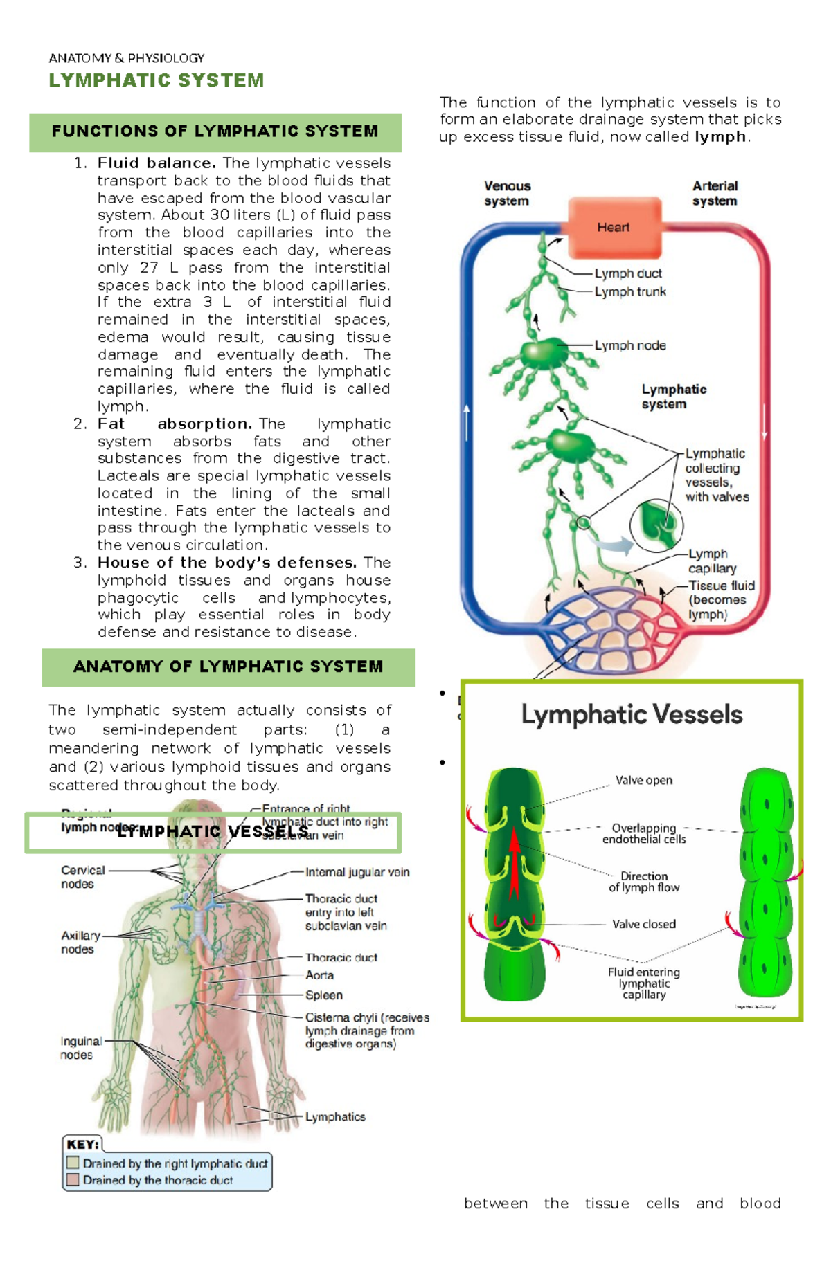 Lymph System Transes - LYMPHATIC SYSTEM Fluid balance. The lymphatic ...