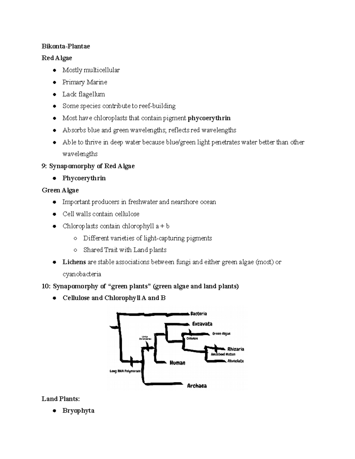 Bikonta-Plantae - Professor Jeffrey DaCosta. Unit 3 - Bikonta-Plantae ...