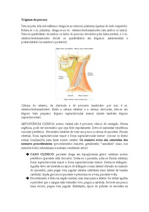 Anatomia da regiao inguinal - ANATOMIA DA REGIAO INGUINAL A parede ...