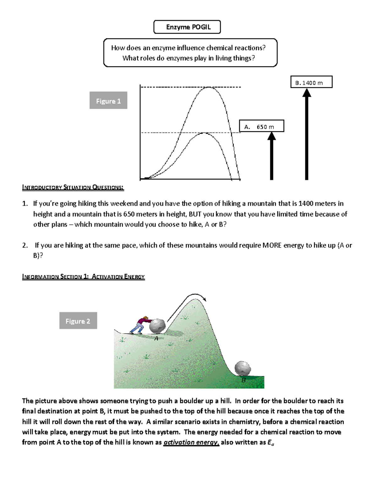 Enzyme pogil - Assignment - Enzyme POGIL How does an enzyme influence ...