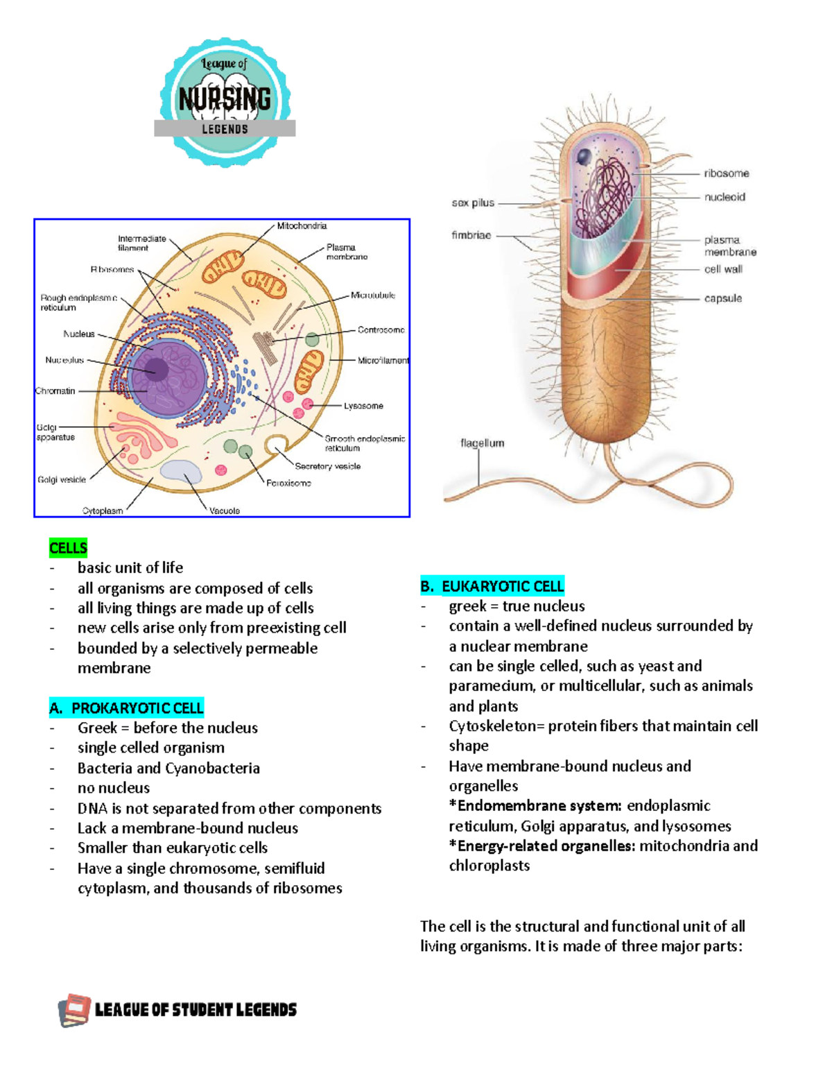 4. Structural Components of Cell - CELLS basic unit of life all ...