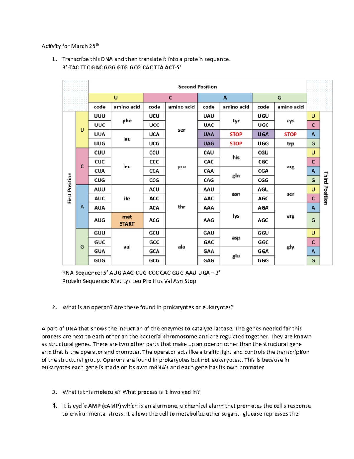 Activity for March 29th-1 - Activity for March 29th Transcribe this DNA ...