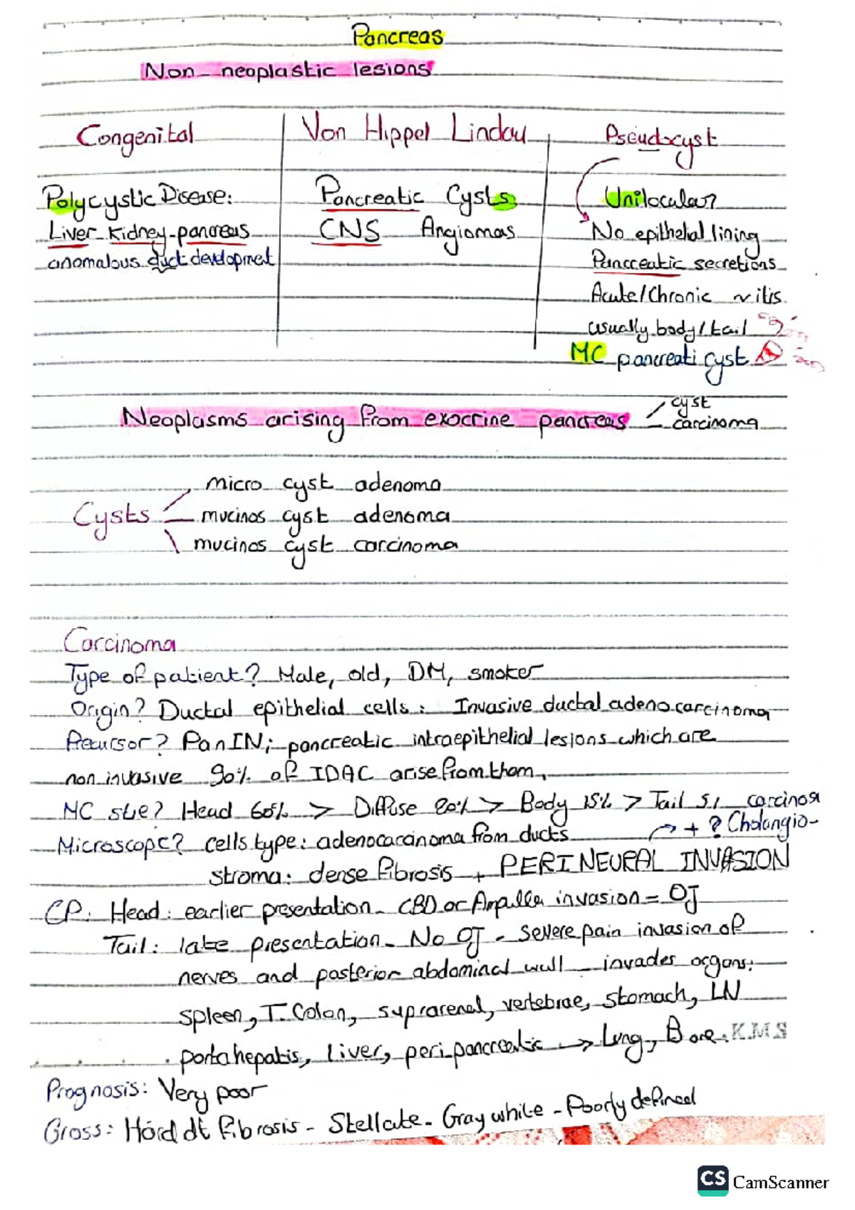Pancreas Patho - Pathology - CamScanner - Studocu