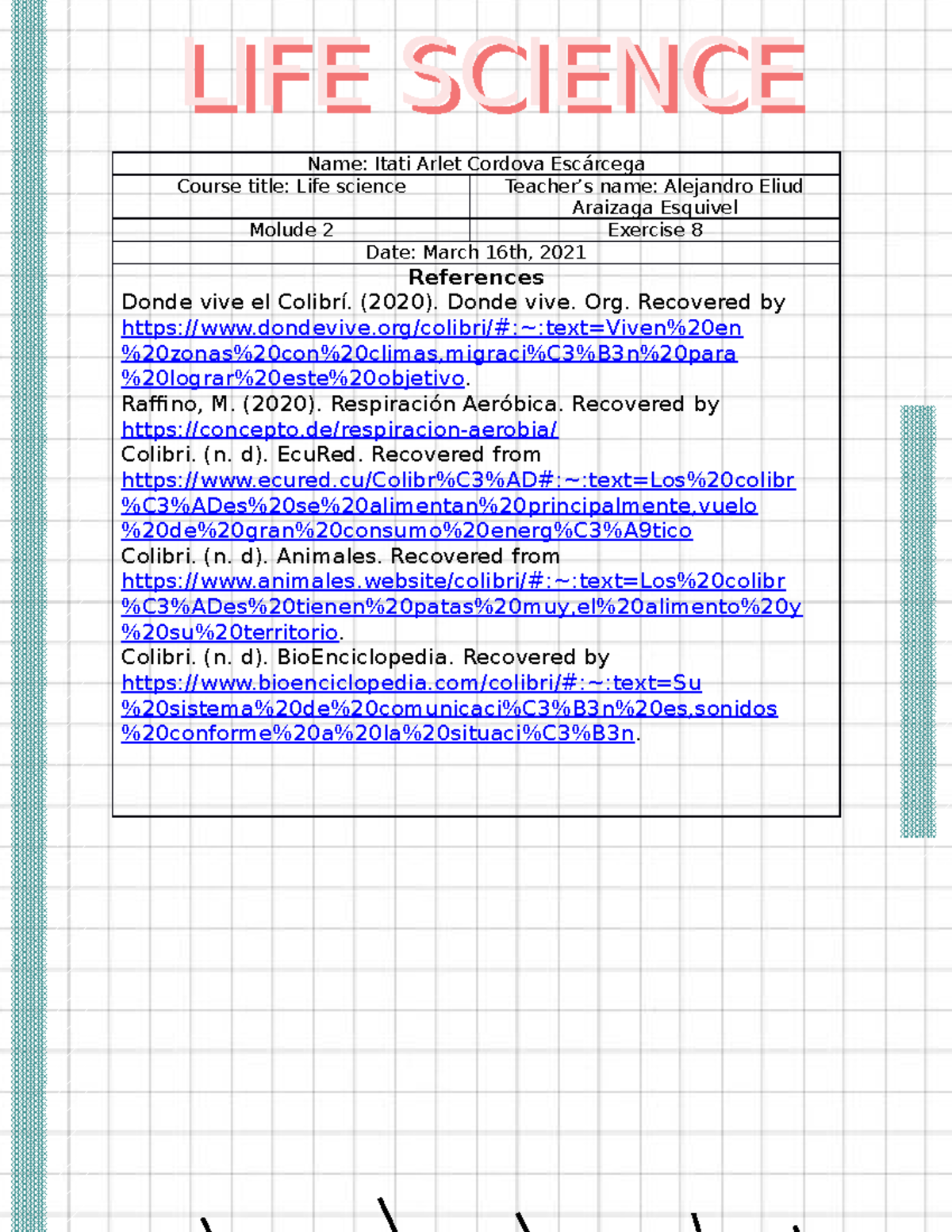 Hummingbird description, respiration characteristics and reproduction ...
